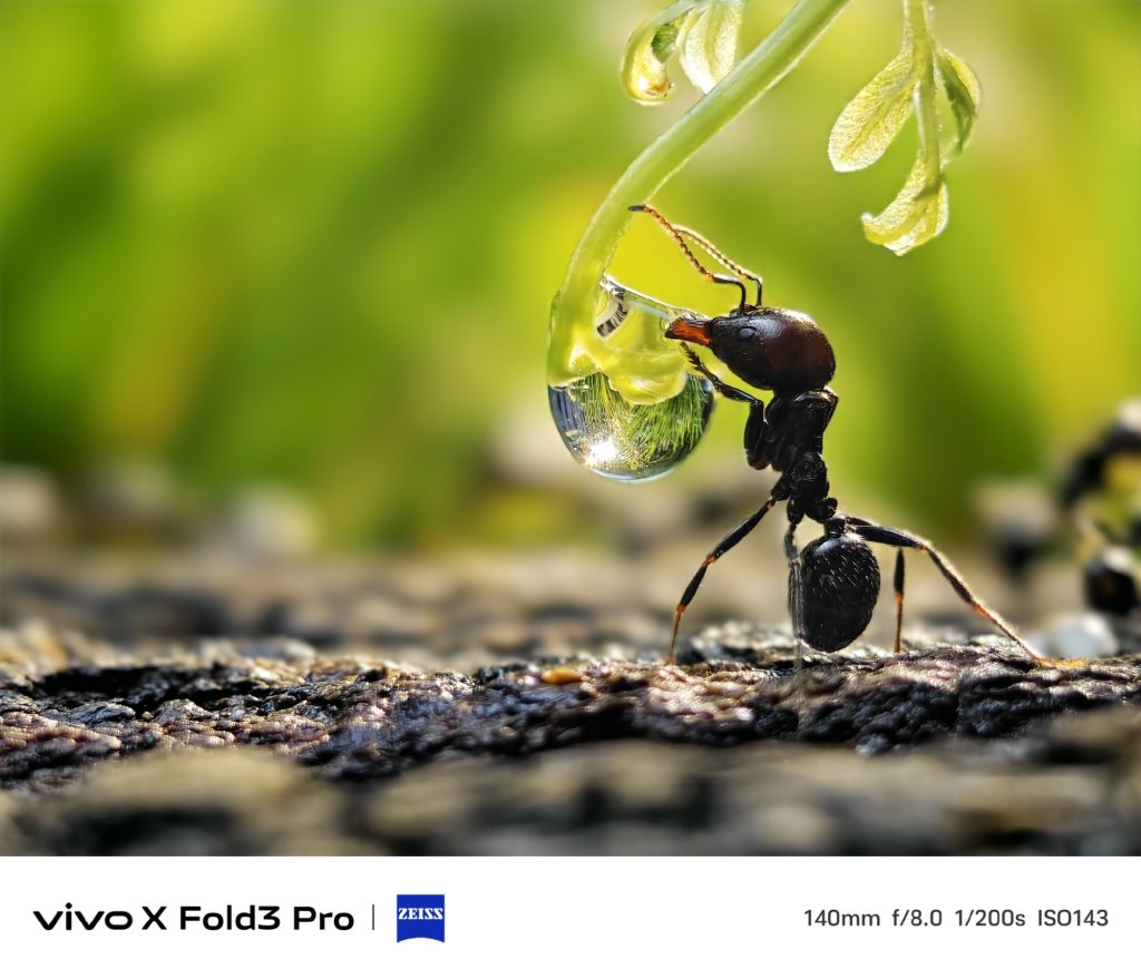 Vivo X Fold 3 Pro design officially revealed along with a bunch of key ...