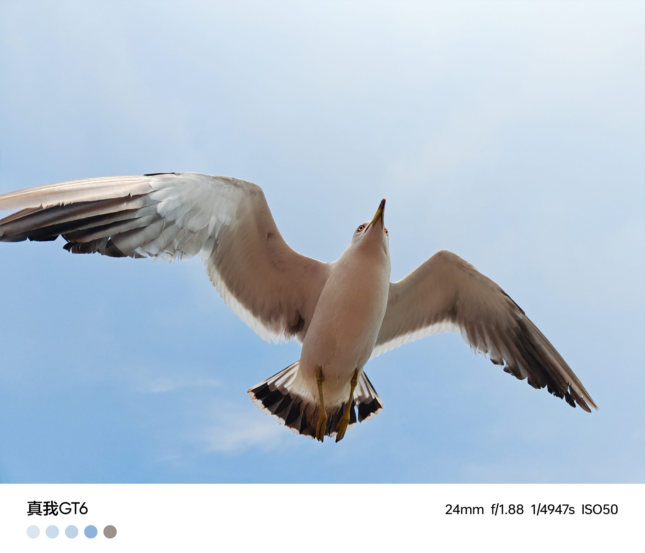 Realme GT 6 camera samples released before July 9 launch - Gizmochina