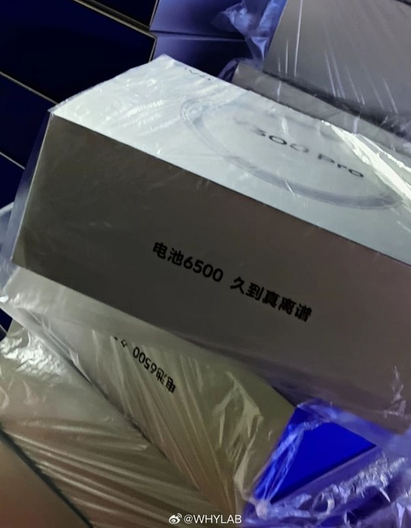 Vivo Y300 Pro's leaked packaging box confirms previously speculated ...
