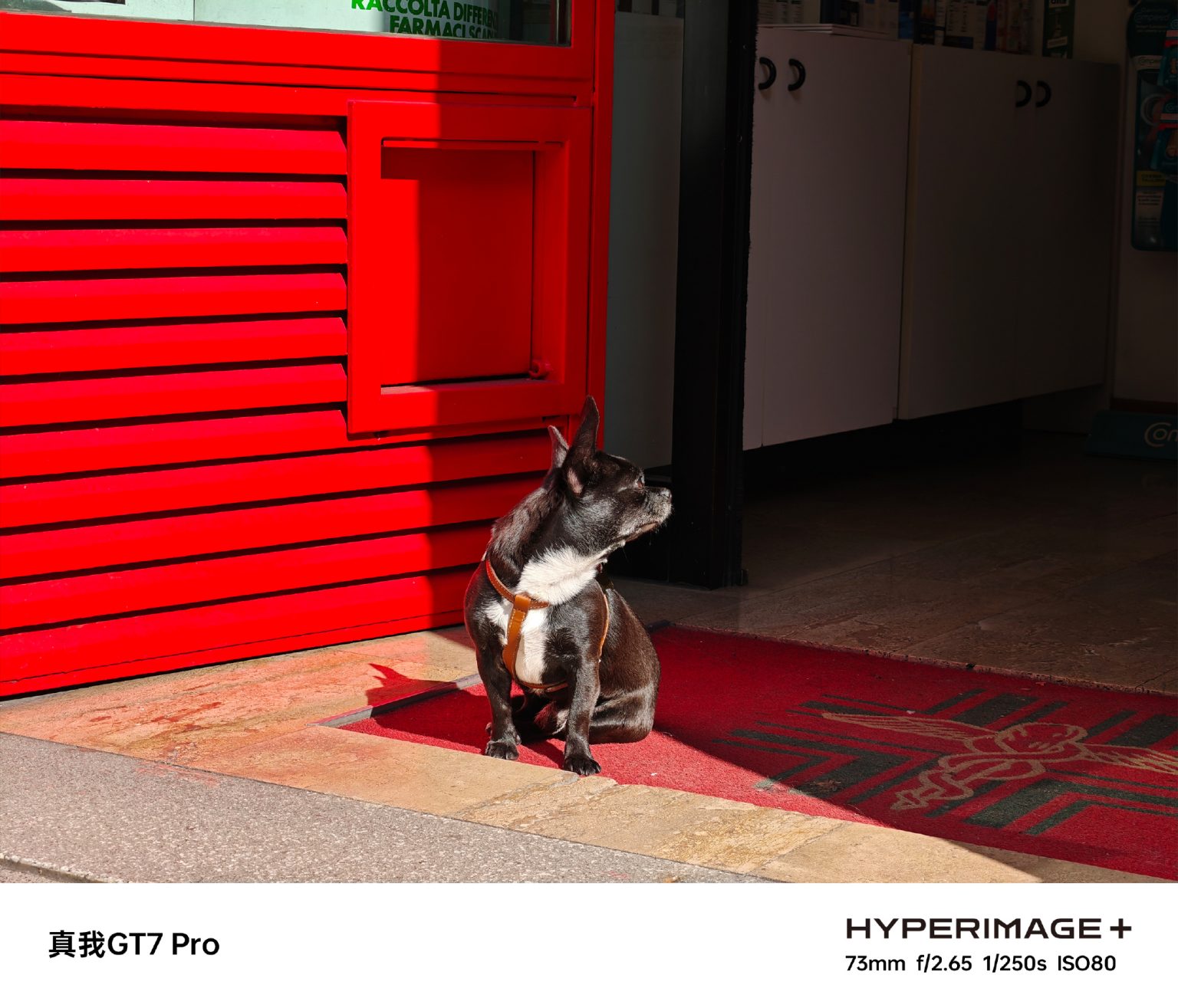 Realme GT 7 Pro supports underwater photography, 3x optical zoom, 120x digital zoom; Camera ...