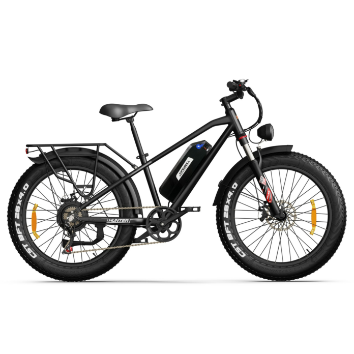 Kingbull Hunter 2.0 e-bike launched with 750W motor, fat tyres for off ...