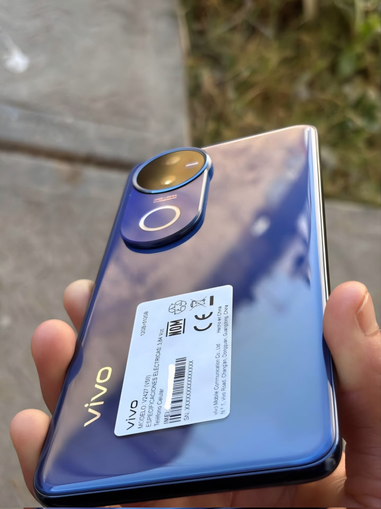 Vivo V50’s blue edition appears in real-life images before launch ...