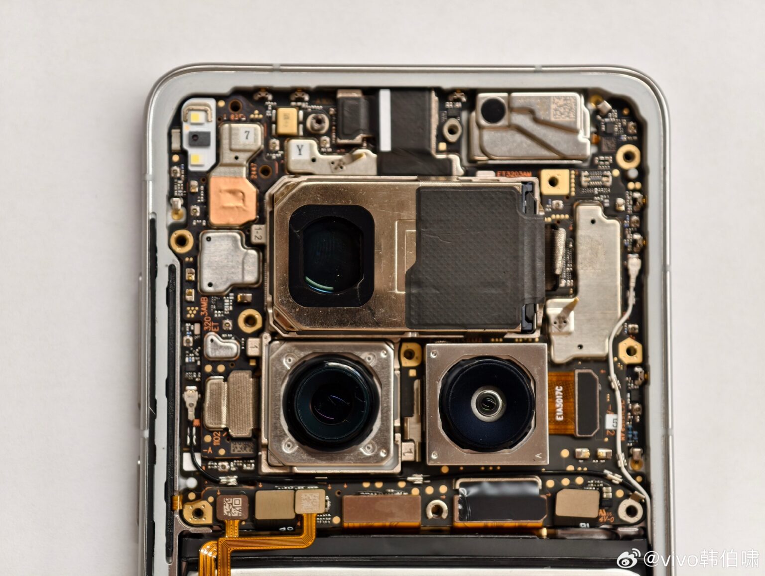 vivo X200 Ultra’s 200MP telephoto samples impress with stunning detail ...