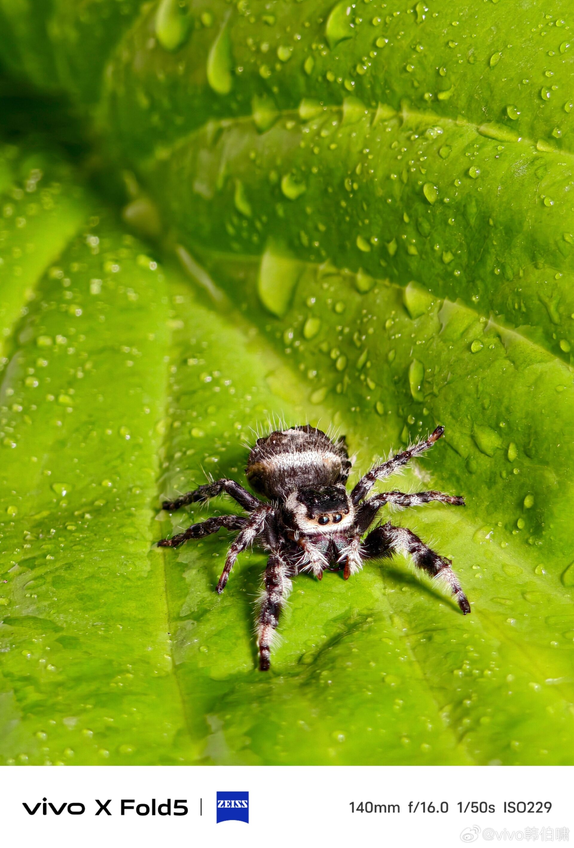 Vivo X Fold 5 periscope telephoto camera samples released - Gizmochina