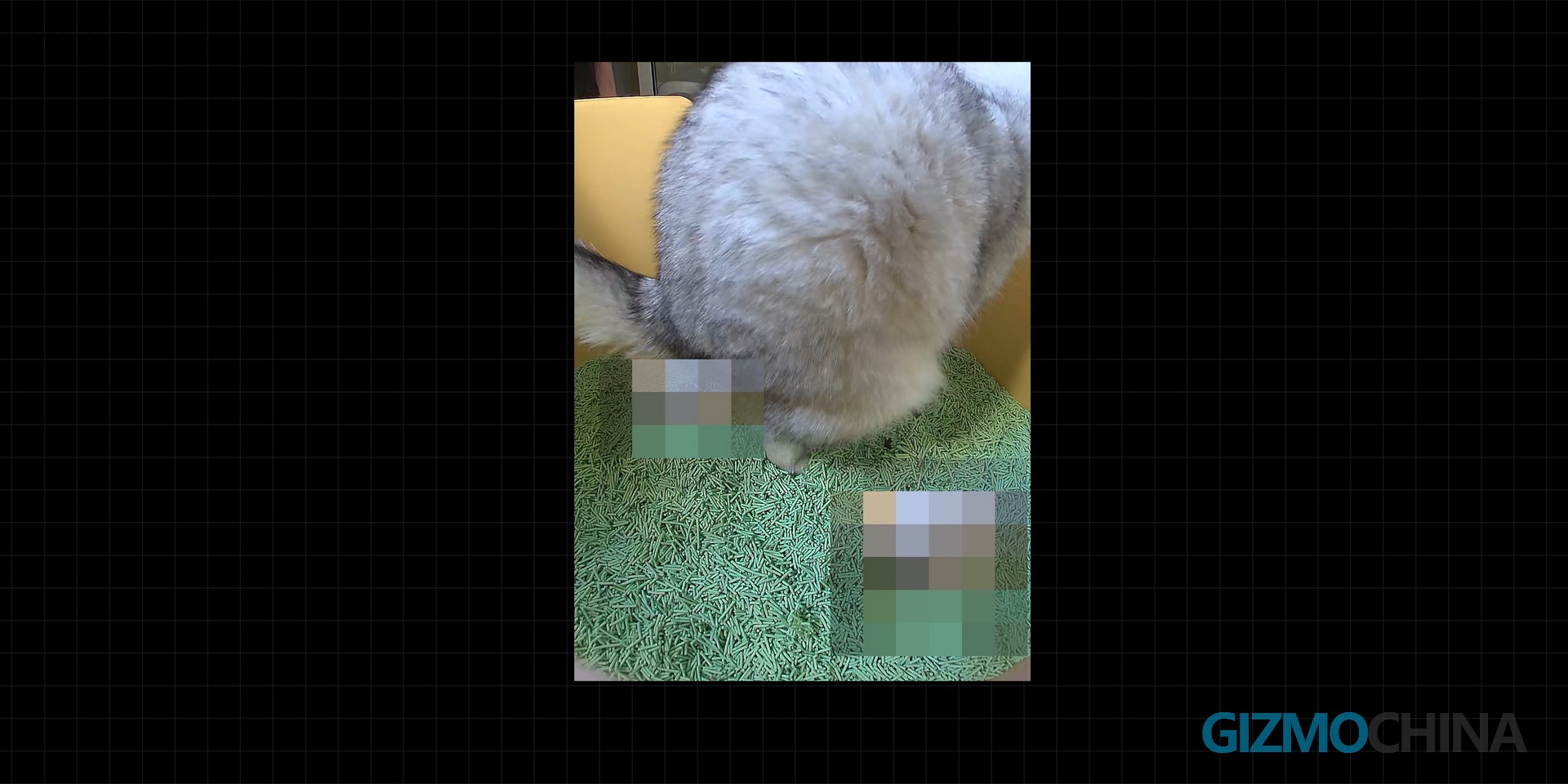 SiiPet LitterLens Review: An AI-Powered Window Into My Cats' Health ...